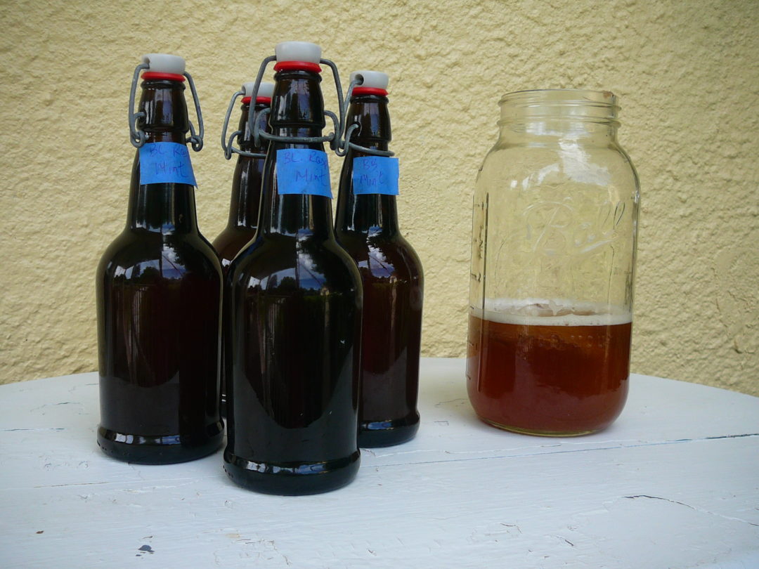 How to Make Kombucha Tea at Home - My Healthy Homemade Life