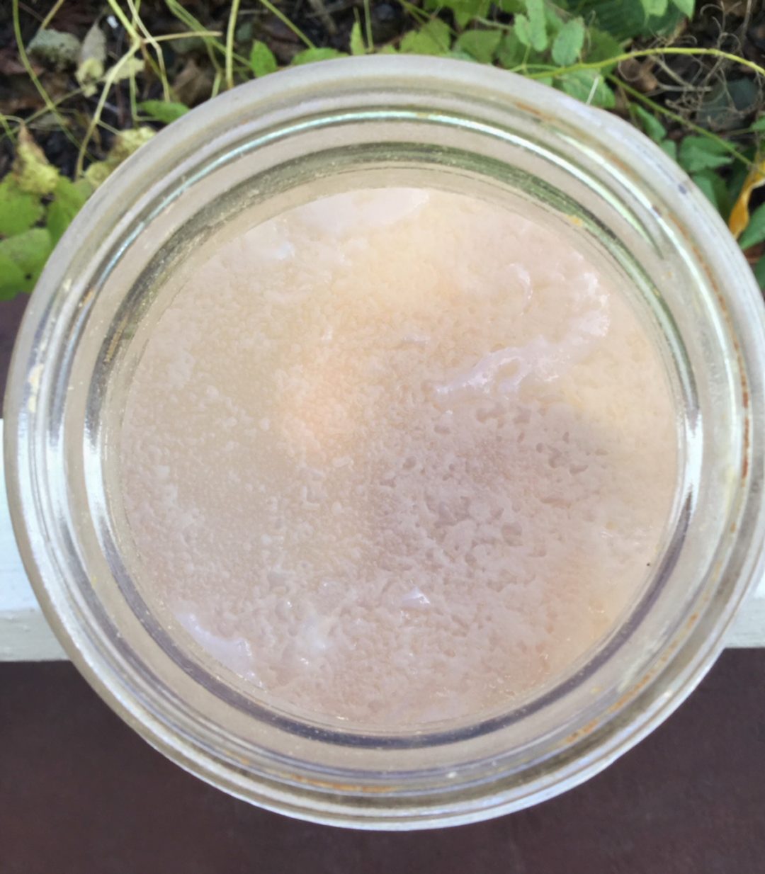 How to Make Homemade Apple Cider Vinegar - My Healthy Homemade Life