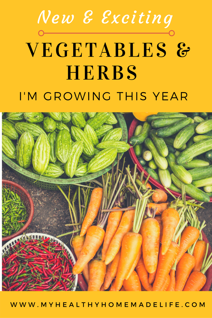 Exciting New Vegetables & Herbs I’m Growing This Year - My Healthy ...